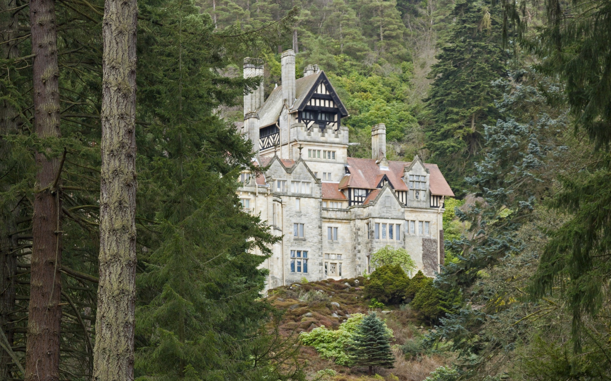 Houses – Electrifying the Country House